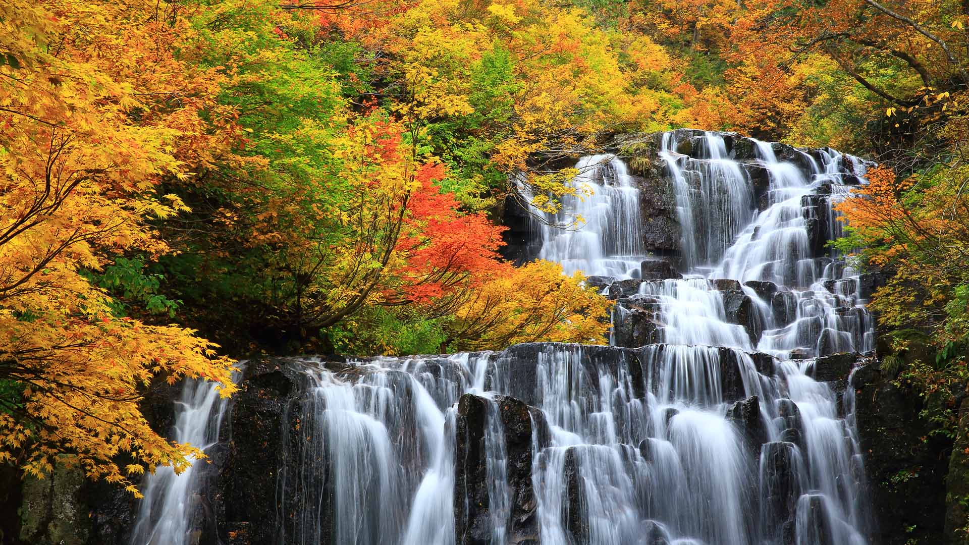 FBO & Ground Handling - Akita Airport (RJSK) | Akita, Japan - Universal Aviation