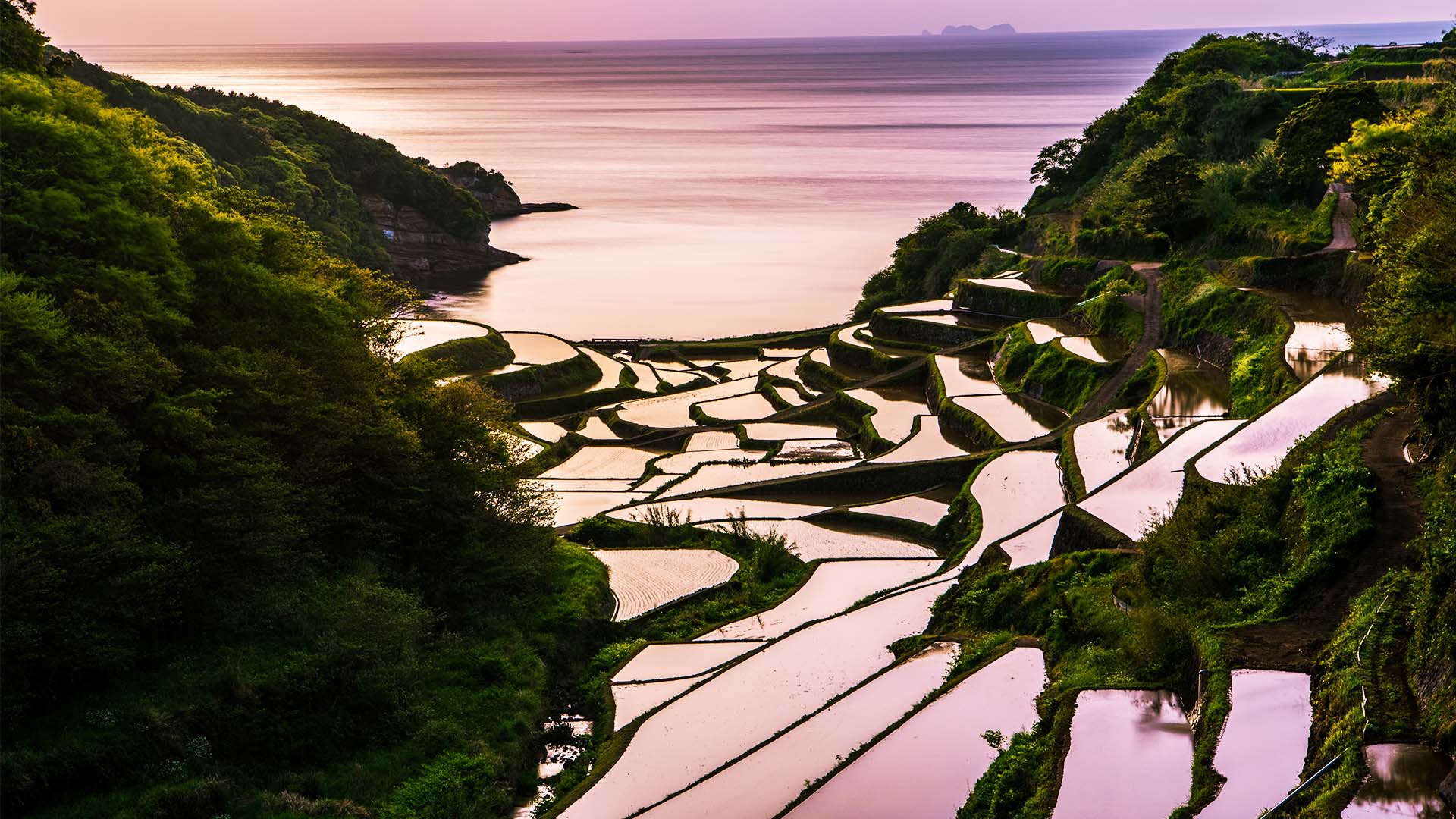 FBO & Ground Handling - New Tanegashima Airport (RJFG) | Nakatane ...