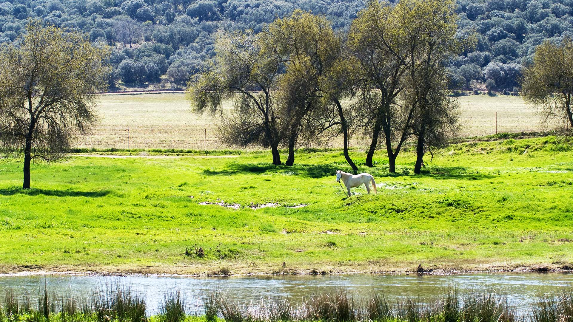 FBO & Ground Handling - El Castaño Airport (LECT) | Ciudad real, Spain ...