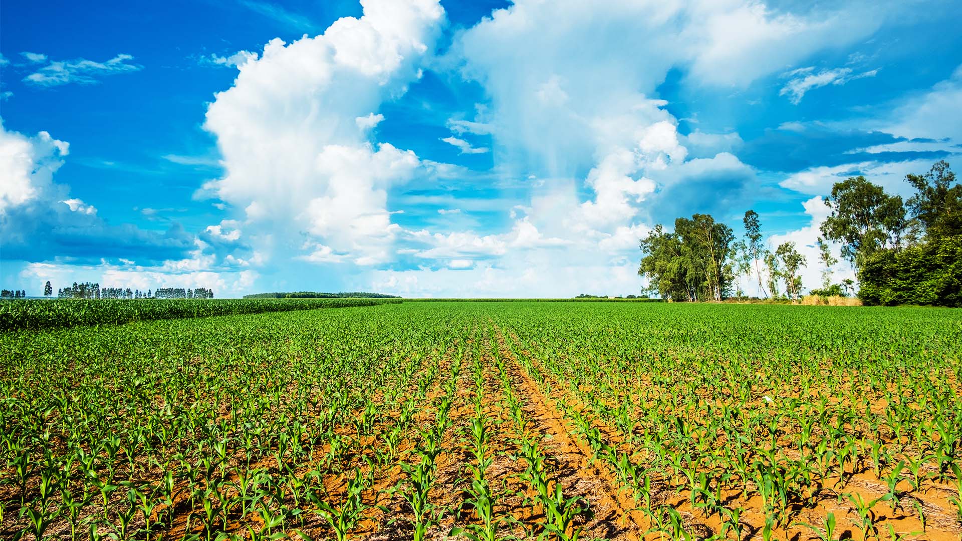 FBO & Ground Handling - Sorriso Airport (SBSO) | Sorriso, Brazil ...
