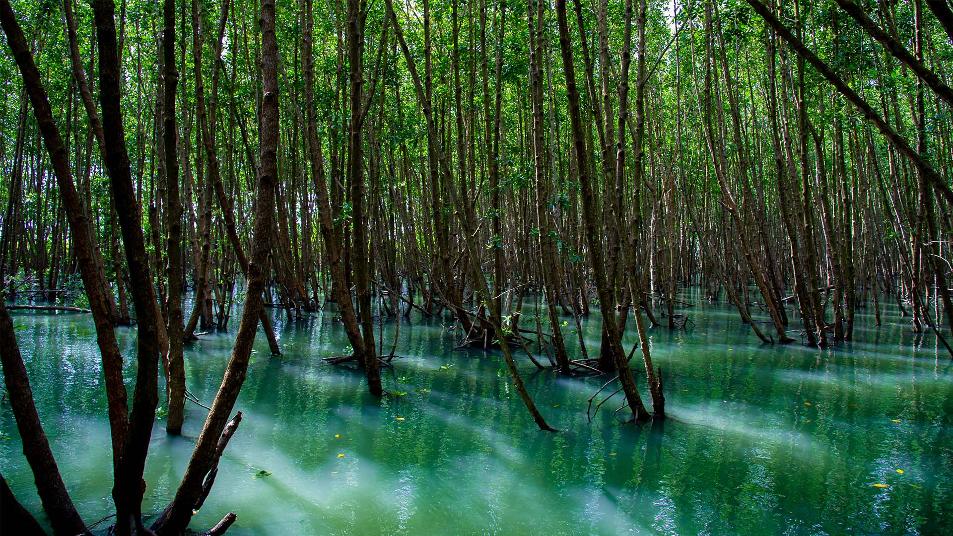 FBO & Ground Handling - Chumphon Airport (VTSE) | Chumphon, Thailand ...