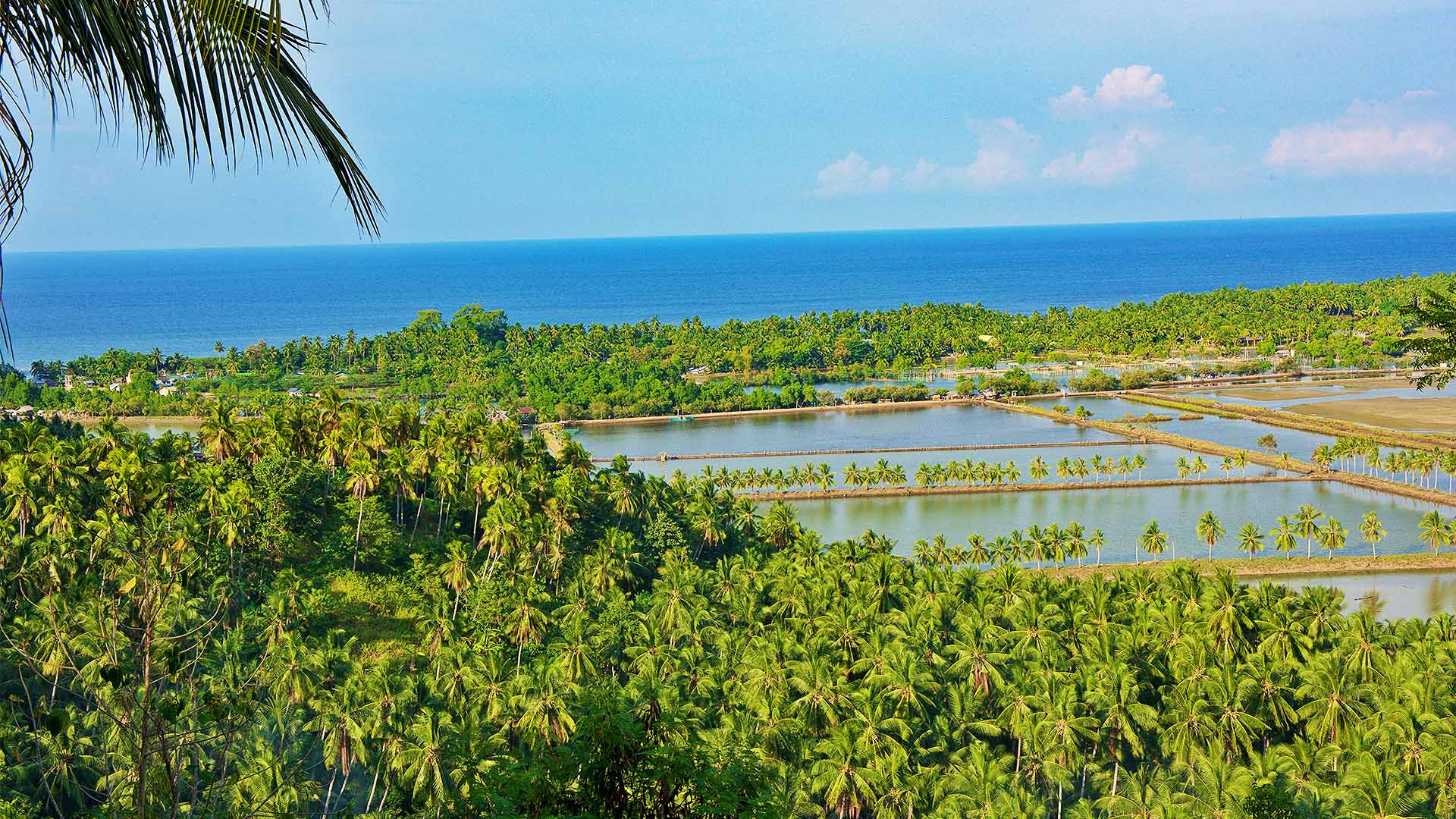 FBO & Ground Handling - Malita Airport (RP17) | Malita, Philippines ...