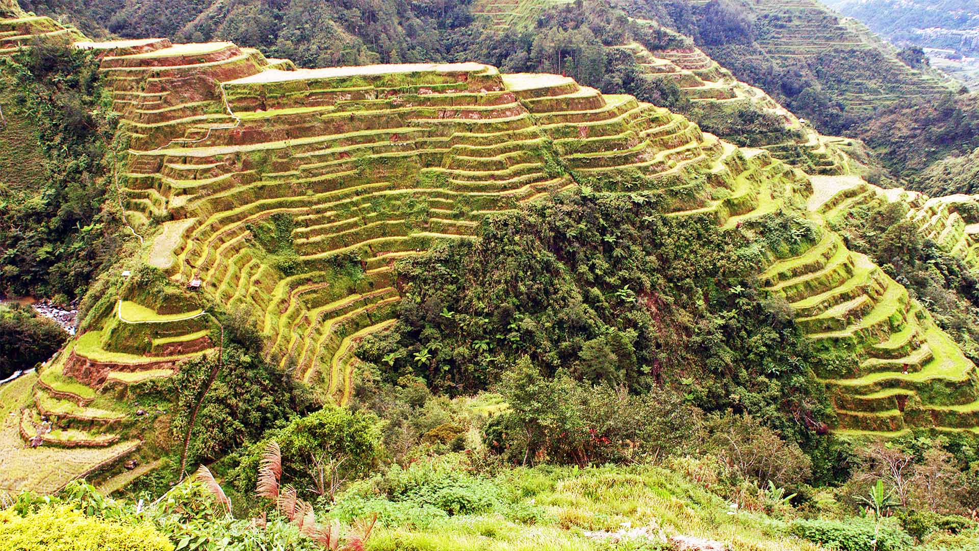 FBO & Ground Handling - Cauayan Airport (RPUY) | Cauayan City, Philippines - Universal Aviation