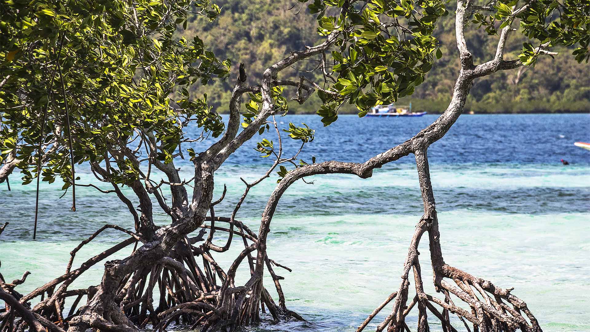 FBO & Ground Handling - Kalibo International Airport (RPVK) | Kalibo ...