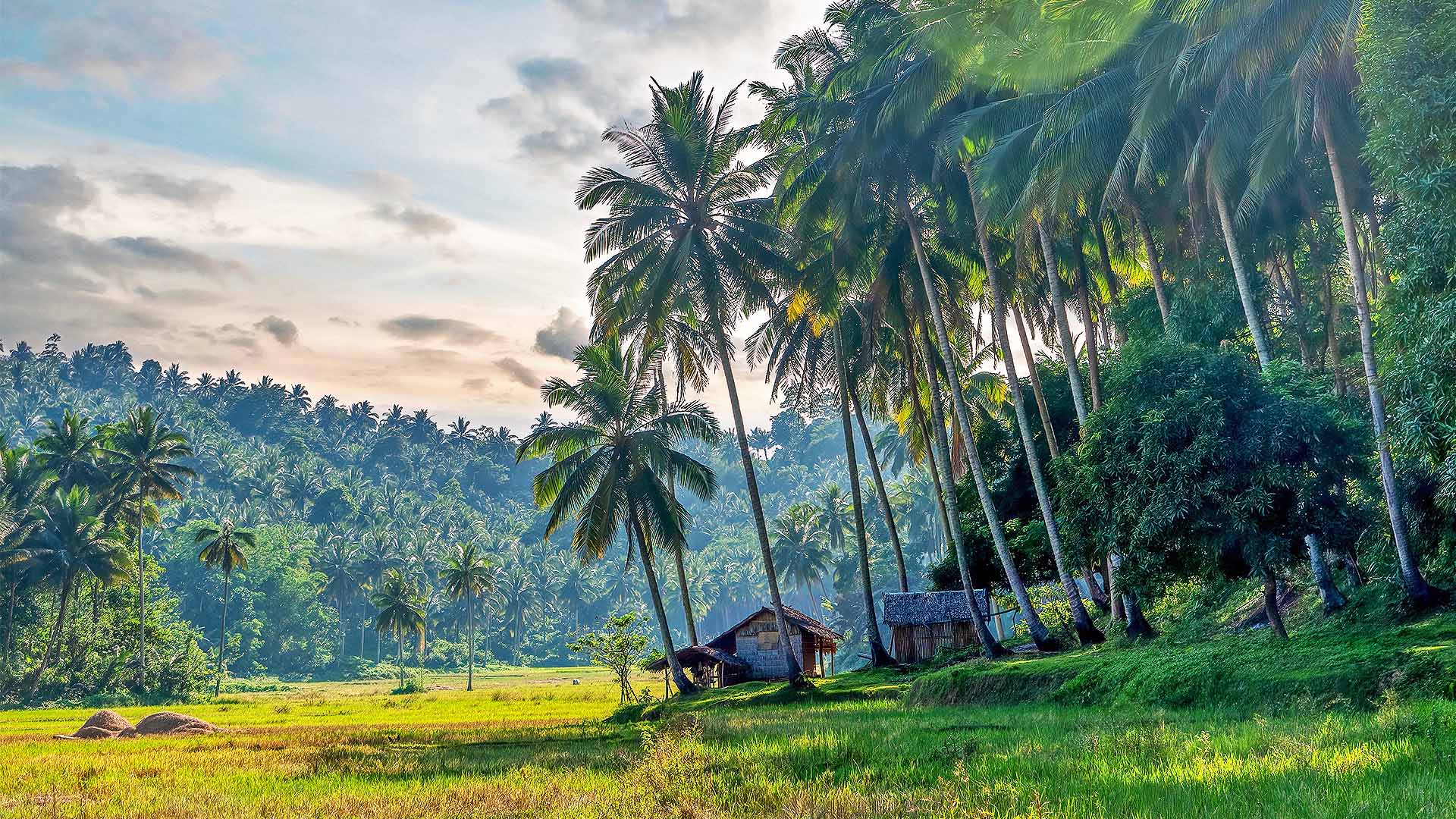 FBO & Ground Handling - San Jose Airport (RPUH) | San Jose, Philippines ...