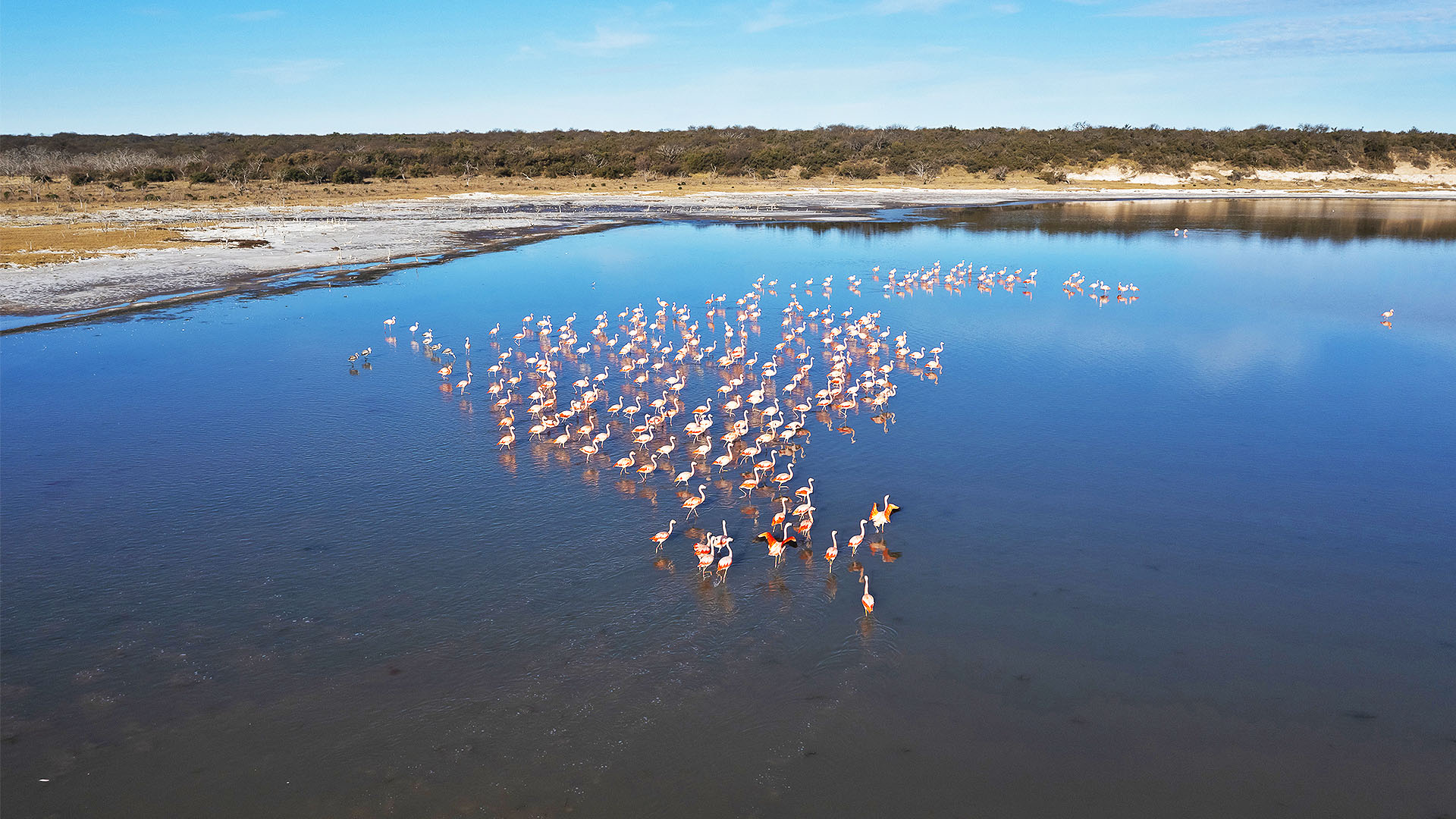 FBO & Ground Handling - Santa Rosa Airport (SAZR) | Santa Rosa ...